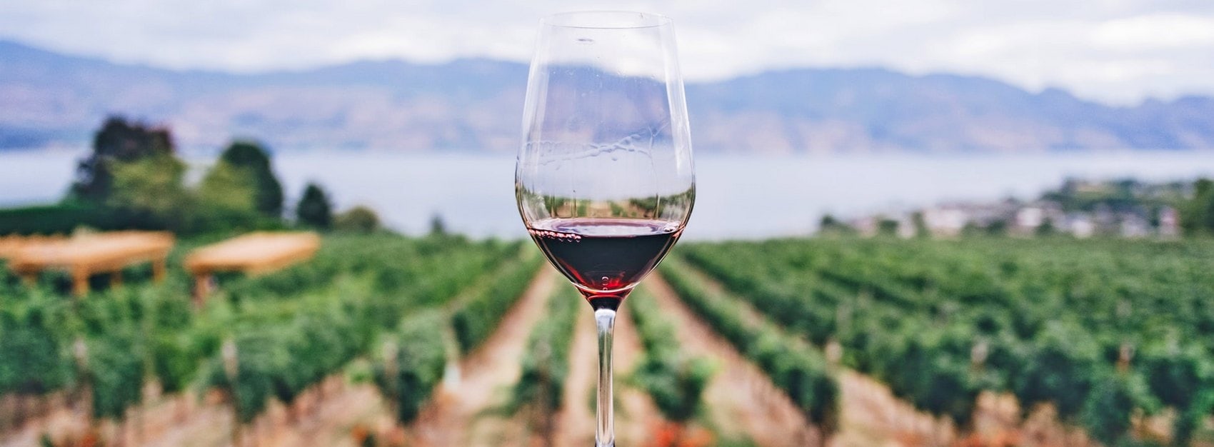 Sajam vina i delicija „Vinski podrum“ - TRAVEL BLOG