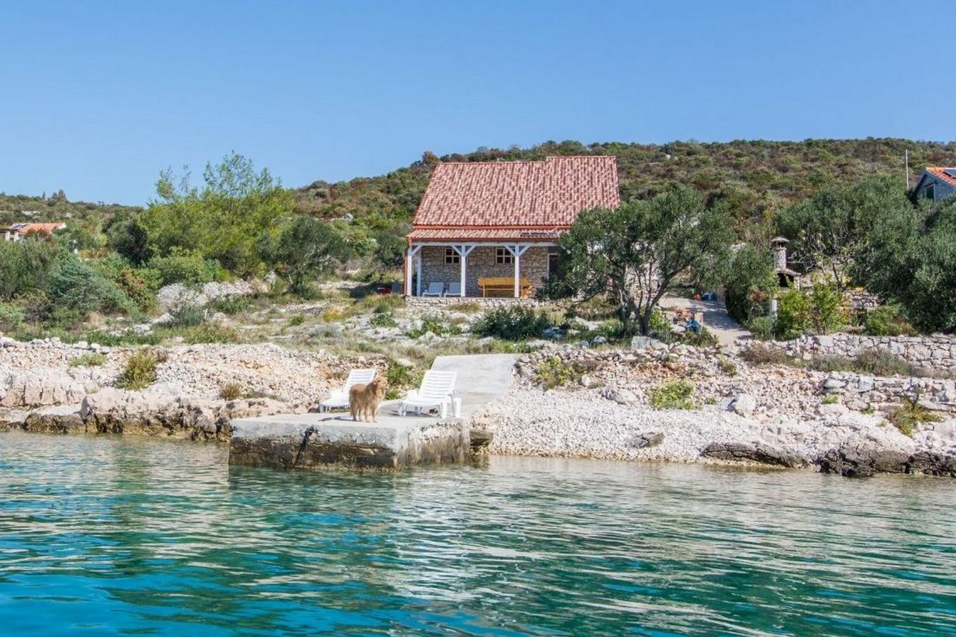 Le 5 migliori spiagge per cani in Dalmazia - TRAVEL BLOG