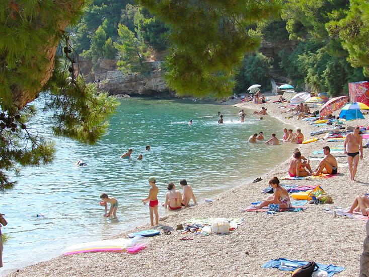 Urlaub in insel Brac - Reiseführer durch Kroatien | Adriagate